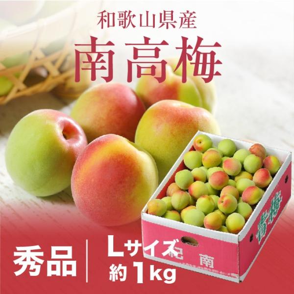 本場、紀州和歌山の高品質な「南高梅」をお届けします。南高梅は大玉で果肉はとても柔らかく種が小さいので、梅酒・梅ジュース・梅ジャム・梅干しなど様々な用途に合わせてお使いいただけます。用途別の「調理用レシピ」も同封いたておりますので初めての方も...
