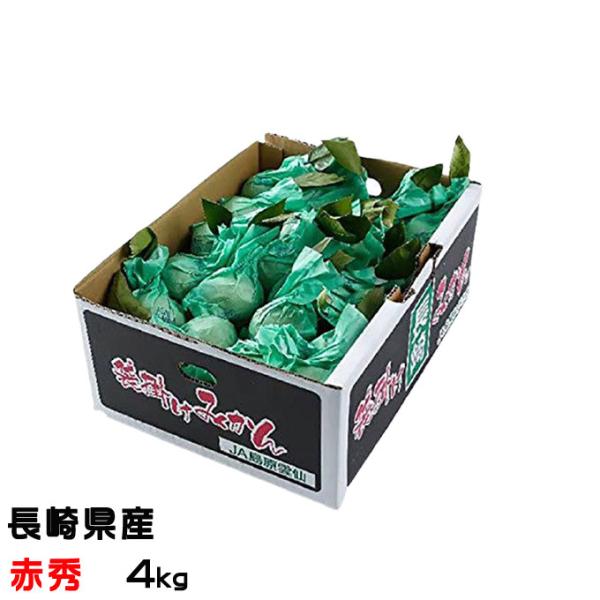 ※大きさ（サイズ）指定はできません。「味ロマン」とは、ＪA長崎せいひのブラントみかんです。糖度12度以上を基準として、厳選されたみかんです。※画像はイメージです。※天候等により出荷時期が前後する場合がございます。果物 フルーツ 旬 ギフト ...