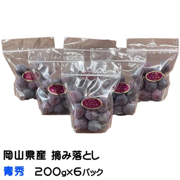 ニューピオーネは岡山生まれの種なし葡萄です。食べ応え抜群の大粒、芳醇で溢れるほどの甘い果汁と16度を超える高い糖度、それを引き立てるわずかな酸味との絶妙なバランス。しかも種無しで皮離れが良いので食べやすい大人気の品種です。ご家庭用にはもちろ...