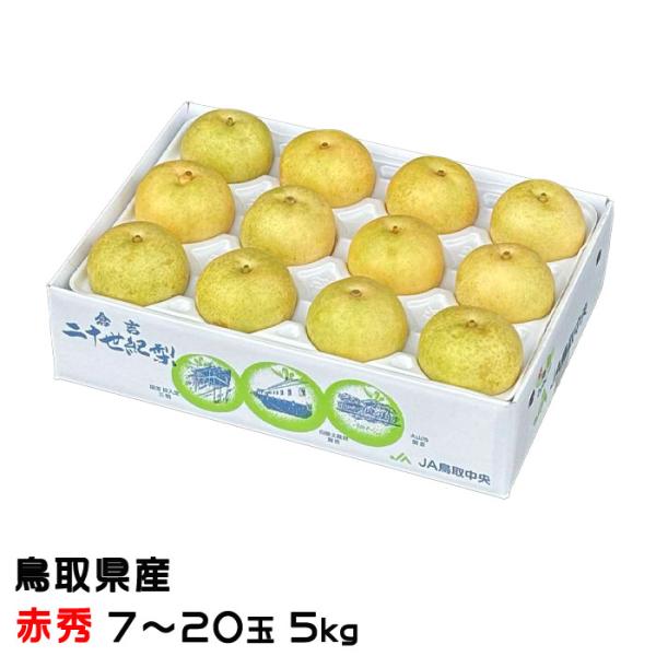 鳥取県を代表する果物。爽やかな甘み、たっぷり果汁。※画像はイメージです。※天候等により出荷時期が前後する場合がございます。果物 フルーツ 旬 ギフト 贈り物 お礼 内祝 御供 ギフト プチギフト 特産品 お取り寄せ 人気 セット 売れ筋 名...