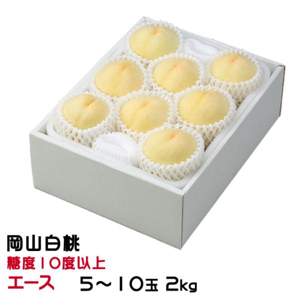 果物王国・岡山生まれの甘くて美味しい白桃産地直送でをお届けします。発送時期に応じてお客様のお好みに合わせた一番良い品種をご用意させていただきます。どれをとっても素晴らしい個性と美味しさを持ち合わせ近年とても人気があります。※画像はイメージで...