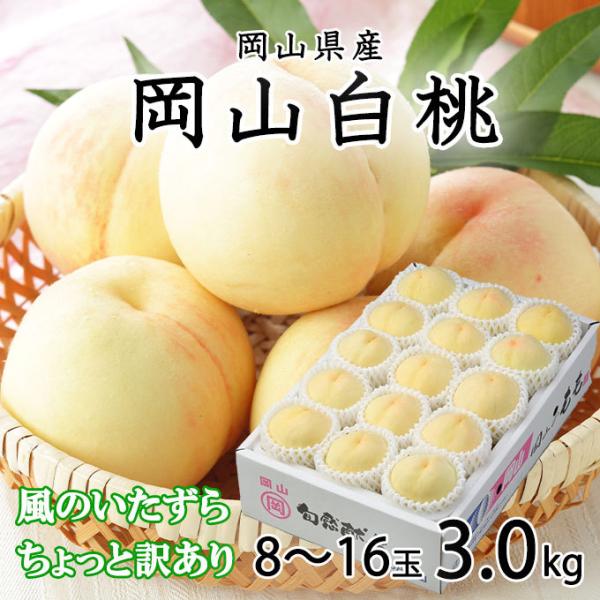 果物王国・岡山生まれの甘くて美味しい白桃産地直送でをお届けします。発送時期に応じてお客様のお好みに合わせた一番良い品種をご用意させていただきます。どれをとっても素晴らしい個性と美味しさを持ち合わせ近年とても人気があります。ご家庭用にはもちろ...