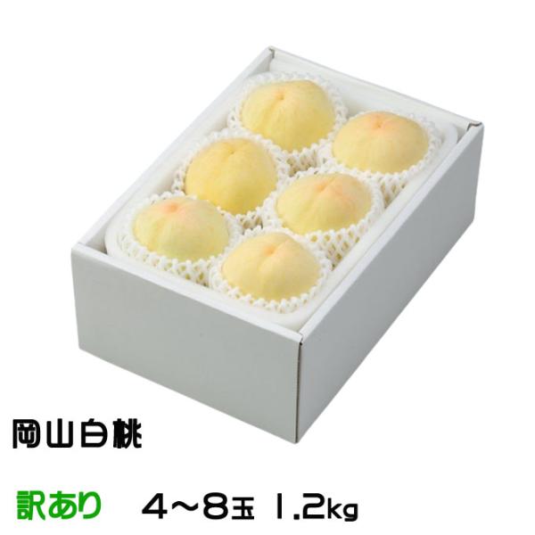 果物王国・岡山生まれの甘くて美味しい白桃産地直送でをお届けします。発送時期に応じてお客様のお好みに合わせた一番良い品種をご用意させていただきます。どれをとっても素晴らしい個性と美味しさを持ち合わせ近年とても人気があります。ご家庭用にはもちろ...