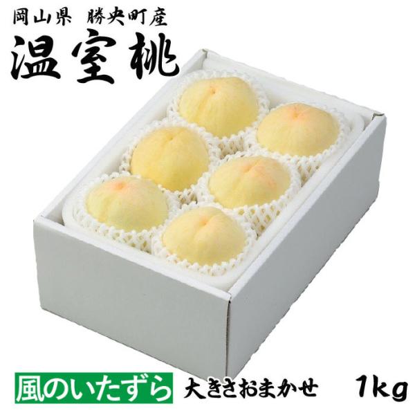岡山県産の温室栽培の白桃を一足先にお届けします。現在、生産者はたった１人ですので数量限定の販売となります。品種は「はなよめ」・「日川白鳳」・「白鳳」の3品種※画像はイメージです。※天候等により出荷時期が前後する場合がございます。※ご家庭用の...