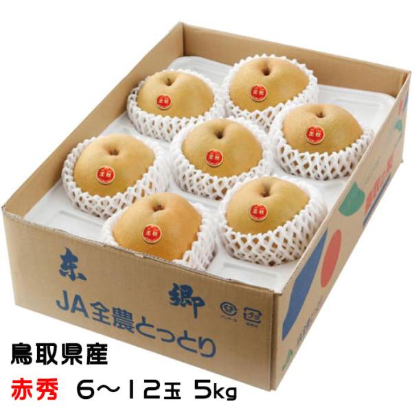 梨の王様！　鳥取県産の希少品種 鳥取の特産品。王秋梨は、「慈梨　ツーリー」という中国梨と「二十世紀梨」に「新雪」をかけ合わせて生まれた品種。卵のような特徴のある形、そして柔らかい果肉ながら中身はびっくりするほどジューシー！　果物 フルーツ ...