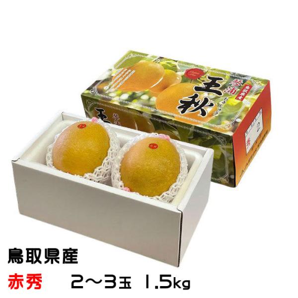 梨の王様！　鳥取県産の希少品種 鳥取の特産品。王秋梨は、「慈梨　ツーリー」という中国梨と「二十世紀梨」に「新雪」をかけ合わせて生まれた品種。卵のような特徴のある形、そして柔らかい果肉ながら中身はびっくりするほどジューシー！　※画像はイメージ...