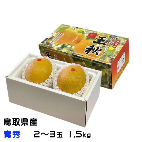 梨の王様！　鳥取県産の希少品種 鳥取の特産品。王秋梨は、「慈梨　ツーリー」という中国梨と「二十世紀梨」に「新雪」をかけ合わせて生まれた品種。卵のような特徴のある形、そして柔らかい果肉ながら中身はびっくりするほどジューシー！　※画像はイメージ...