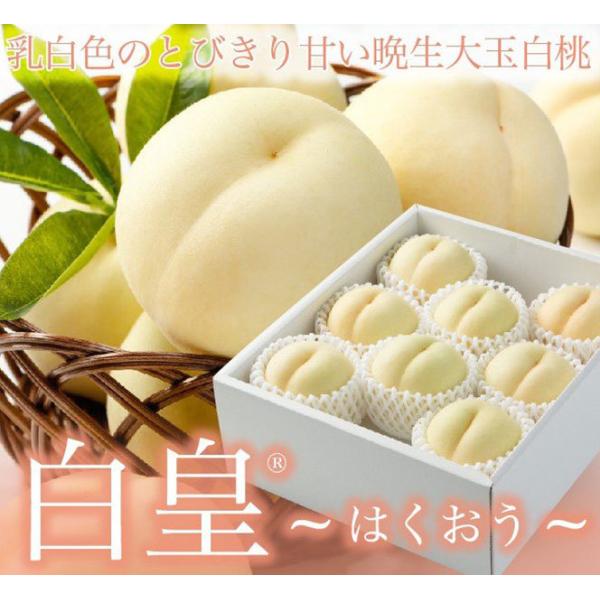 果肉は約340ｇほどの大玉。岡山を代表する白桃「清水白桃」の糖度が平均12~13度に対して、白皇は平均17度と非常に高く、とびきり甘いのが特徴です。また渋みと酸味がないため、とても食べやすい品種です。※画像はイメージです。※天候等により出荷...