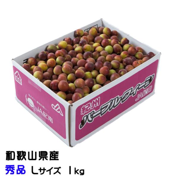 果実は1個が6g前後ほどの小粒、大きな特徴は果皮の色付きにあります。地色は緑ですが、日照により果皮全体が濃い紫色に着色してゆきます。果実の半分以上着色していることが「JA紀南」の出荷基準となっています。「梅酒 梅サワー 梅シロップ 作り方 ...
