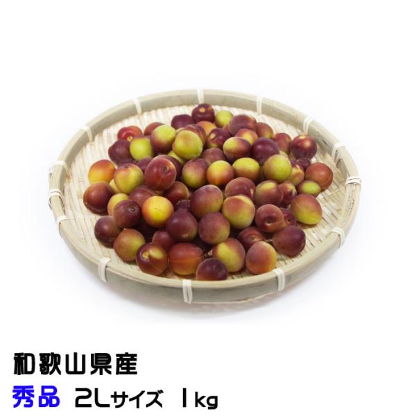 果実は1個が6g前後ほどの小粒、大きな特徴は果皮の色付きにあります。地色は緑ですが、日照により果皮全体が濃い紫色に着色してゆきます。果実の半分以上着色していることが「JA紀南」の出荷基準となっています。「梅酒 梅サワー 梅シロップ 作り方 ...