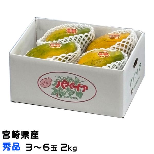 パパイヤ（パパイア）は、熱帯地方原産といわれています。宮崎県では宮崎市を中心にハウス栽培され、品種はパパイヤのなかでも人気の「サンライズソロ」。赤い果肉が特徴で、柔らかい食感と程よい甘み。※画像はイメージです。※天候等により出荷時期が前後す...