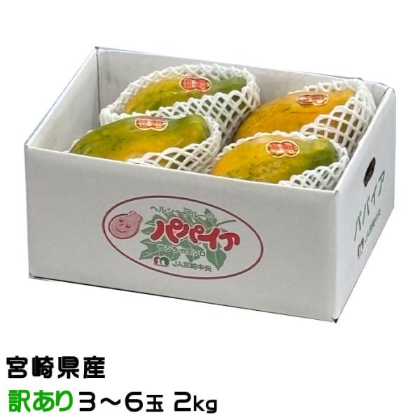 パパイヤ（パパイア）は、熱帯地方原産といわれています。宮崎県では宮崎市を中心にハウス栽培され、品種はパパイヤのなかでも人気の「サンライズソロ」。赤い果肉が特徴で、柔らかい食感と程よい甘み。※画像はイメージです。※天候等により出荷時期が前後す...
