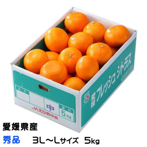 『せとか』と同じ交配から生まれた柑橘。濃厚な味わいとジューシーな果肉。果物 フルーツ 旬 ギフト 贈り物 お礼 内祝 御供 ギフト プチギフト 特産品 お取り寄せ 人気 セット 売れ筋 名物商品 家庭用 贈答用 甘い