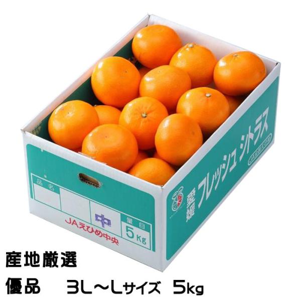 『せとか』と同じ交配から生まれた柑橘。濃厚な味わいとジューシーな果肉。果物 フルーツ 旬 ギフト 贈り物 お礼 内祝 御供 ギフト プチギフト 特産品 お取り寄せ 人気 セット 売れ筋 名物商品 家庭用 贈答用 甘い