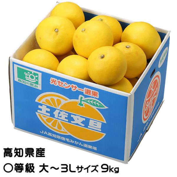 宿毛市より春一番の贈り物。文旦光糖酸度検知センサーを使用することにより糖度も高く、酸度とのバランスがよい文旦のみを「宿毛文旦」として出荷しています。甘味と酸味のバランスがよく、爽やかな香りとプチプチとした食感がお楽しみいただけます。※画像は...