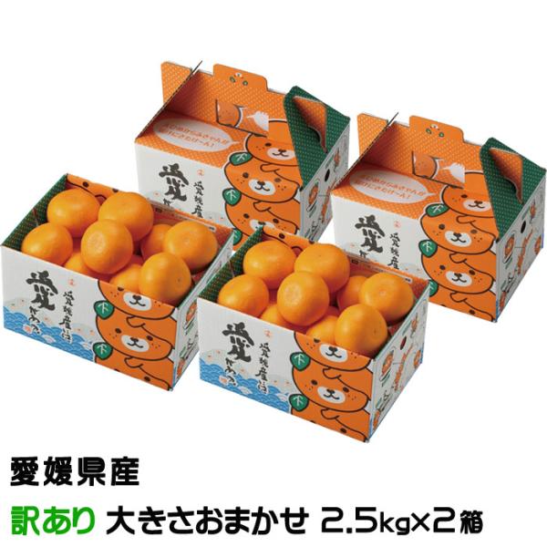 せとかは、香りや食味の良い柑橘を掛け合わせ、いいとこどりで生まれた新品種です。トロリとろける食感、濃厚でジューシーな味わい、みずみずしいオレンジの香りと、文句なしの美味しさ！まさに柑橘の大トロと呼ぶにふさわしい逸品です。果物が一番美味しく育...