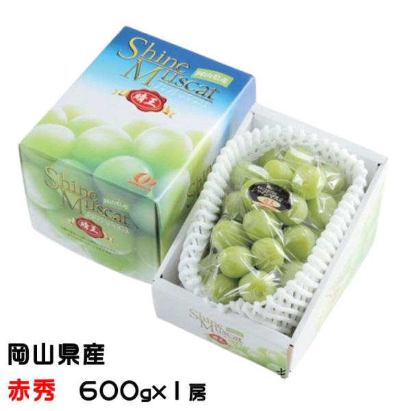 ネットで買える！おかやま果物・野菜シャインマスカットは、大粒で種が無く、甘く豊潤なマスカットの香りがする皮ごと食べられる次世代の葡萄です。『晴王』とは、その中でも『高糖度・大粒・美しい房の姿』など厳しい選果基準をクリアする事のできた高品質の...