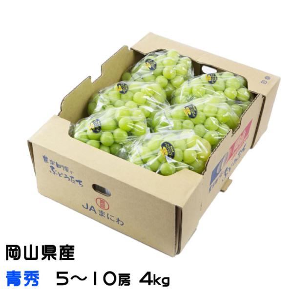 シャインマスカットは、大粒で種が無く、甘く豊潤なマスカットの香りがする皮ごと食べられる次世代の葡萄です。『晴王』とは、その中でも『高糖度・大粒・美しい房の姿』など厳しい選果基準をクリアする事のできた高品質のシャインマスカットにのみ、晴れの国...