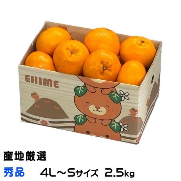 「はるみ」は「清見ダンゴール」と「ポンカン」の交雑種。甘くて果汁たっぷり！ポンカン系の爽やかな味わい。手で簡単に皮をむくことができ、ポンカンゆずりの香りが広がります。プチプチとした食感は「はるみ」独特のものです。こちらの商品は産地厳選でござ...