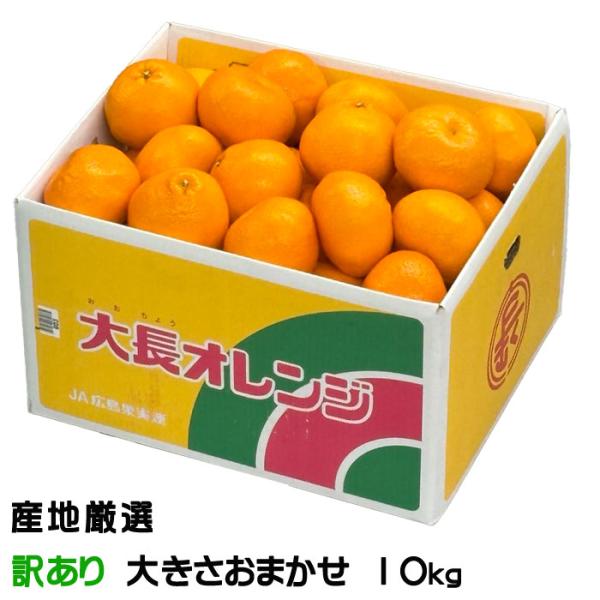 「はるみ」は「清見ダンゴール」と「ポンカン」の交雑種。甘くて果汁たっぷり！ポンカン系の爽やかな味わい。手で簡単に皮をむくことができ、ポンカンゆずりの香りが広がります。プチプチとした食感は「はるみ」独特のものです。こちらの商品は産地厳選でござ...