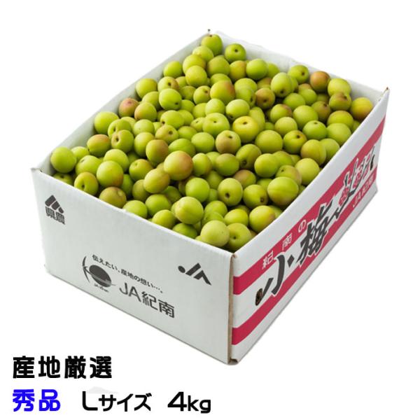 こちらの商品は当店目利きバイヤーが最も旬を迎える産地の小梅を厳選してお届けします。小梅はカリカリ梅がおすすめです。「調理用レシピ」も同封いたておりますので初めての方も安心してご利用いただけます。※画像はイメージです。※天候等により出荷時期が...
