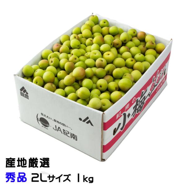 こちらの商品は当店目利きバイヤーが最も旬を迎える産地の小梅を厳選してお届けします。小梅はカリカリ梅がおすすめです。「調理用レシピ」も同封いたておりますので初めての方も安心してご利用いただけます。※画像はイメージです。※天候等により出荷時期が...