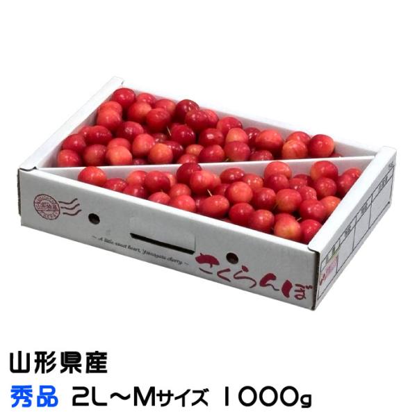 さくらんぼは丸くて、鮮やかに輝く赤い実で見た目が非常に愛らしく、ほのかな酸味と甘みが口の中いっぱいに広がります。※画像はイメージです。※天候等により出荷時期が前後する場合がございます。果物 フルーツ 旬 ギフト 贈り物 お礼 内祝 御供 ギ...