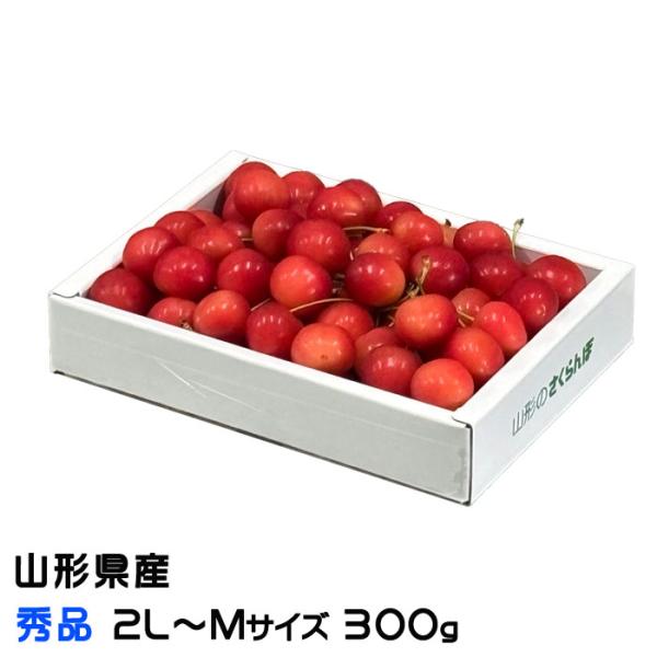 さくらんぼは丸くて、鮮やかに輝く赤い実で見た目が非常に愛らしく、ほのかな酸味と甘みが口の中いっぱいに広がります。※画像はイメージです。※天候等により出荷時期が前後する場合がございます。果物 フルーツ 旬 ギフト 贈り物 お礼 内祝 御供 ギ...