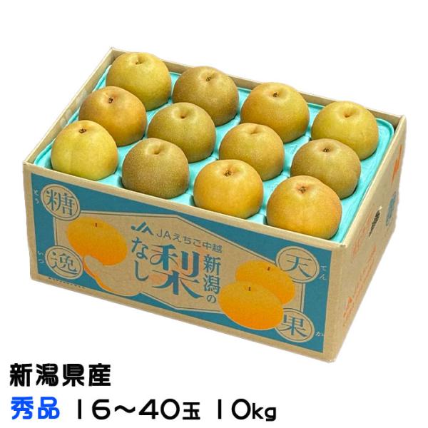 濃厚な甘さと爽やかな酸味。お月様のように麗しく、甘みと酸味の微妙なバランスが楽しめます。サクッとした歯触りで誰からも愛される端麗な美味です。※画像はイメージです。※天候等により出荷時期が前後する場合がございます。果物 フルーツ 旬 ギフト ...