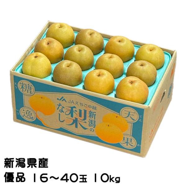 濃厚な甘さと爽やかな酸味。お月様のように麗しく、甘みと酸味の微妙なバランスが楽しめます。サクッとした歯触りで誰からも愛される端麗な美味です。※画像はイメージです。※天候等により出荷時期が前後する場合がございます。果物 フルーツ 旬 ギフト ...