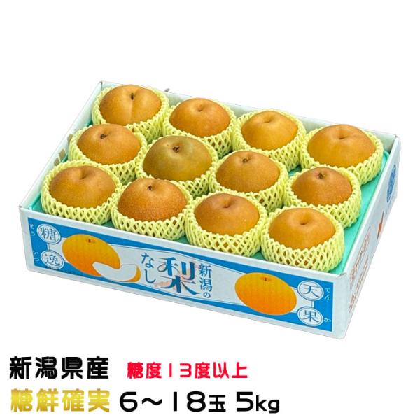 濃厚な甘さと爽やかな酸味。お月様のように麗しく、甘みと酸味の微妙なバランスが楽しめます。サクッとした歯触りで誰からも愛される端麗な美味です。※画像はイメージです。※天候等により出荷時期が前後する場合がございます。果物 フルーツ 旬 ギフト ...