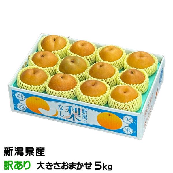 濃厚な甘さと爽やかな酸味。お月様のように麗しく、甘みと酸味の微妙なバランスが楽しめます。サクッとした歯触りで誰からも愛される端麗な美味です。※画像はイメージです。※天候等により出荷時期が前後する場合がございます。※ご家庭用の訳あり品です。キ...