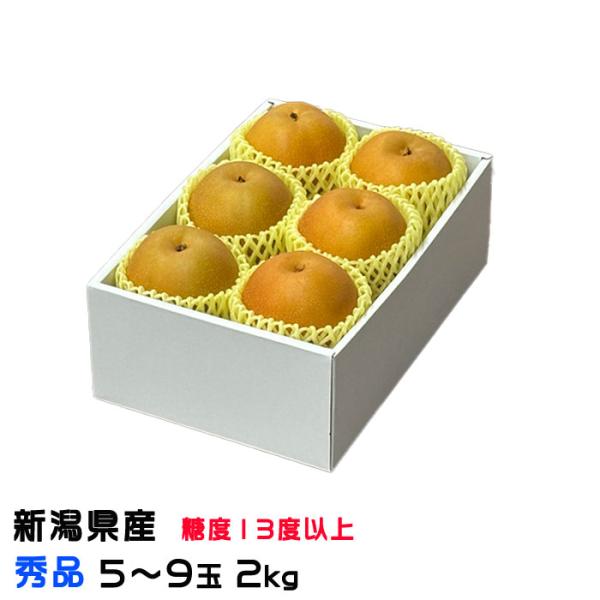 濃厚な甘さと爽やかな酸味。お月様のように麗しく、甘みと酸味の微妙なバランスが楽しめます。サクッとした歯触りで誰からも愛される端麗な美味です。※画像はイメージです。※天候等により出荷時期が前後する場合がございます。果物 フルーツ 旬 ギフト ...