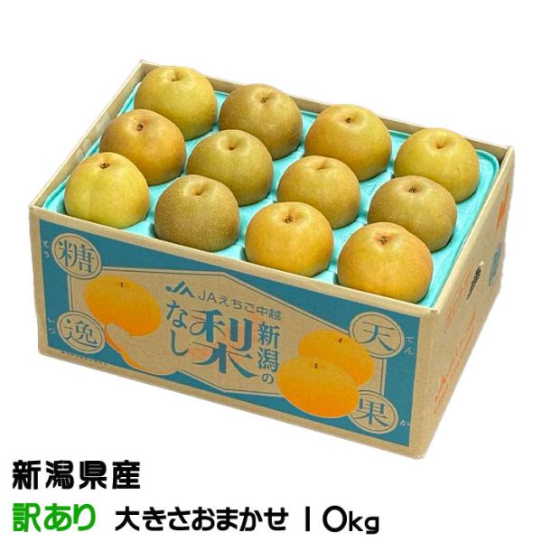 甘さを極めた王者の風格。スイーツのような強い甘み、そしてさくっとした力強い食感。王の名にふさわしい新しい美味を味わうことができます。※画像はイメージです。※天候等により出荷時期が前後する場合がございます。※ご家庭用の訳あり品です。キズ等で見...