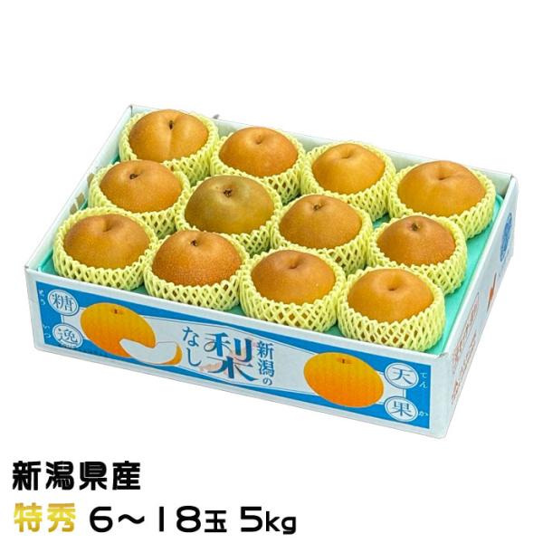 甘さを極めた王者の風格。スイーツのような強い甘み、そしてさくっとした力強い食感。王の名にふさわしい新しい美味を味わうことができます。※画像はイメージです。※天候等により出荷時期が前後する場合がございます。果物 フルーツ 旬 ギフト 贈り物 ...