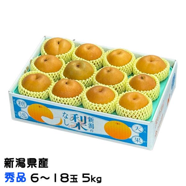 甘さを極めた王者の風格。スイーツのような強い甘み、そしてさくっとした力強い食感。王の名にふさわしい新しい美味を味わうことができます。※画像はイメージです。※天候等により出荷時期が前後する場合がございます。果物 フルーツ 旬 ギフト 贈り物 ...