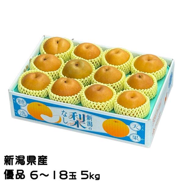 甘さを極めた王者の風格。スイーツのような強い甘み、そしてさくっとした力強い食感。王の名にふさわしい新しい美味を味わうことができます。※画像はイメージです。※天候等により出荷時期が前後する場合がございます。果物 フルーツ 旬 ギフト 贈り物 ...