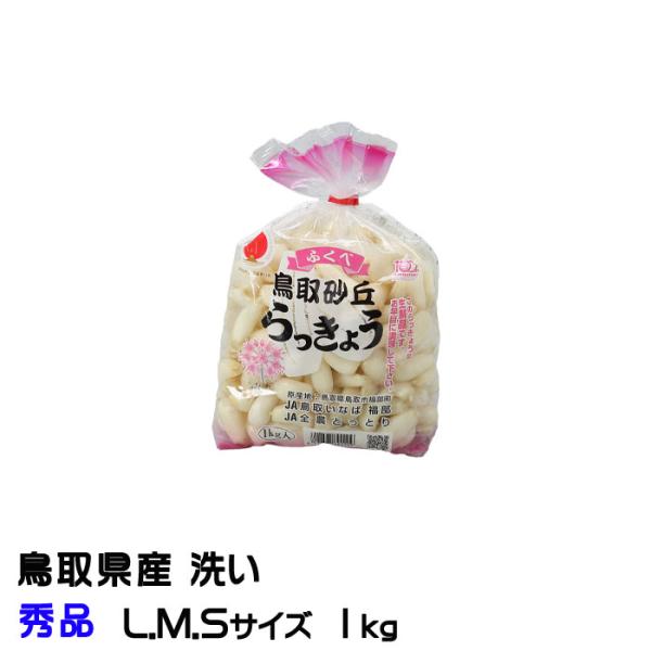 鳥取県福部で栽培される砂丘らっきょうは、GI(地理的表示)に登録され、保護されているブランドらっきょうです。砂丘らっきょうは、夏場は地表面温度60度、冬場は氷点下という過酷な環境で育ち、色白で硬く引き締まったらっきょうに育ちます。実の引き締...