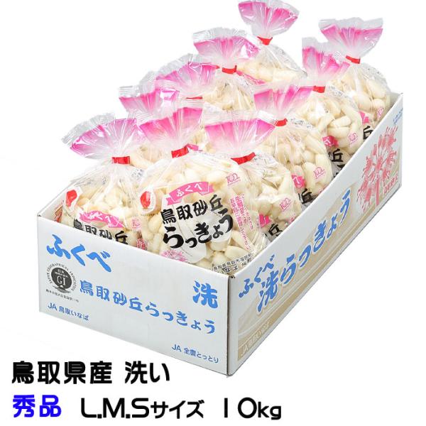 鳥取県福部で栽培される砂丘らっきょうは、GI(地理的表示)に登録され、保護されているブランドらっきょうです。砂丘らっきょうは、夏場は地表面温度60度、冬場は氷点下という過酷な環境で育ち、色白で硬く引き締まったらっきょうに育ちます。実の引き締...