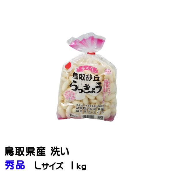 鳥取県福部で栽培される砂丘らっきょうは、GI(地理的表示)に登録され、保護されているブランドらっきょうです。砂丘らっきょうは、夏場は地表面温度60度、冬場は氷点下という過酷な環境で育ち、色白で硬く引き締まったらっきょうに育ちます。実の引き締...