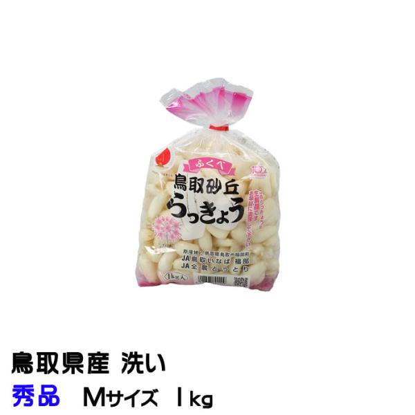 鳥取県福部で栽培される砂丘らっきょうは、GI(地理的表示)に登録され、保護されているブランドらっきょうです。砂丘らっきょうは、夏場は地表面温度60度、冬場は氷点下という過酷な環境で育ち、色白で硬く引き締まったらっきょうに育ちます。実の引き締...