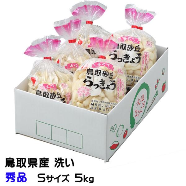 鳥取県福部で栽培される砂丘らっきょうは、GI(地理的表示)に登録され、保護されているブランドらっきょうです。砂丘らっきょうは、夏場は地表面温度60度、冬場は氷点下という過酷な環境で育ち、色白で硬く引き締まったらっきょうに育ちます。実の引き締...