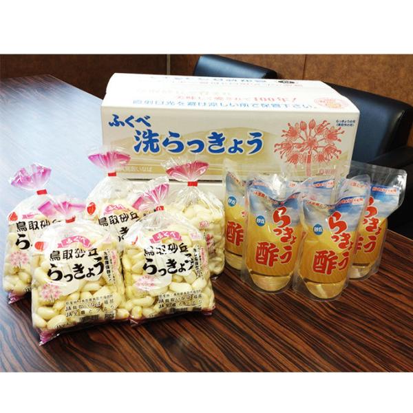 鳥取県福部で栽培される砂丘らっきょうは、GI(地理的表示)に登録され、保護されているブランドらっきょうです。砂丘らっきょうは、夏場は地表面温度60度、冬場は氷点下という過酷な環境で育ち、色白で硬く引き締まったらっきょうに育ちます。実の引き締...