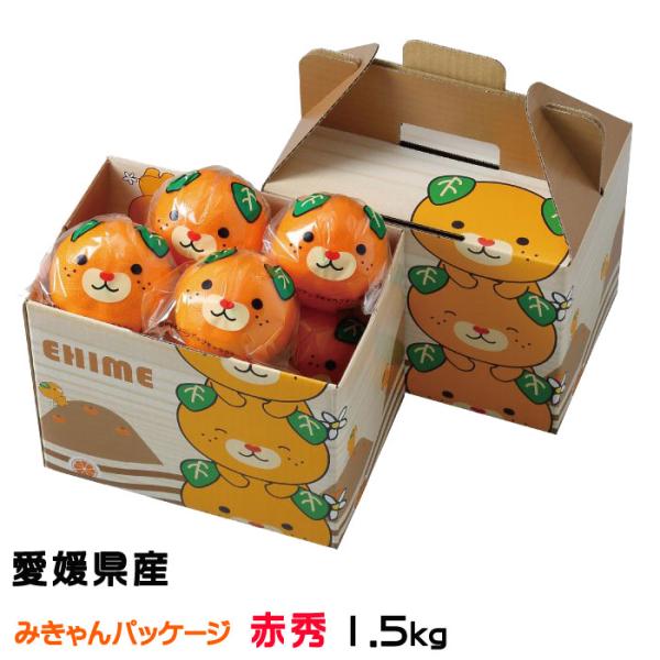 せとかは、香りや食味の良い柑橘を掛け合わせ、いいとこどりで生まれた新品種です。トロリとろける食感、濃厚でジューシーな味わい、みずみずしいオレンジの香りと、文句なしの美味しさ！まさに柑橘の大トロと呼ぶにふさわしい逸品です。※画像はイメージです...