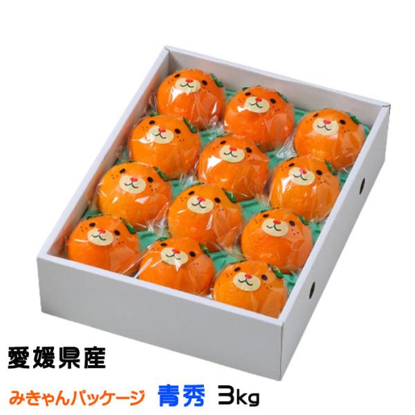 せとかは、香りや食味の良い柑橘を掛け合わせ、いいとこどりで生まれた新品種です。トロリとろける食感、濃厚でジューシーな味わい、みずみずしいオレンジの香りと、文句なしの美味しさ！まさに柑橘の大トロと呼ぶにふさわしい逸品です。※画像はイメージです...