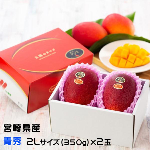 宮崎県産の完熟マンゴーは、アーウィン種で通称アップルマンゴーとも呼ばれ、日本での栽培の96%を占めるマンゴーの中でも一番人気のある種類です。「完熟」の名にふさわしく、木になっているマンゴーの下に袋状のネットをかけ、マンゴーが完全に熟して自然...