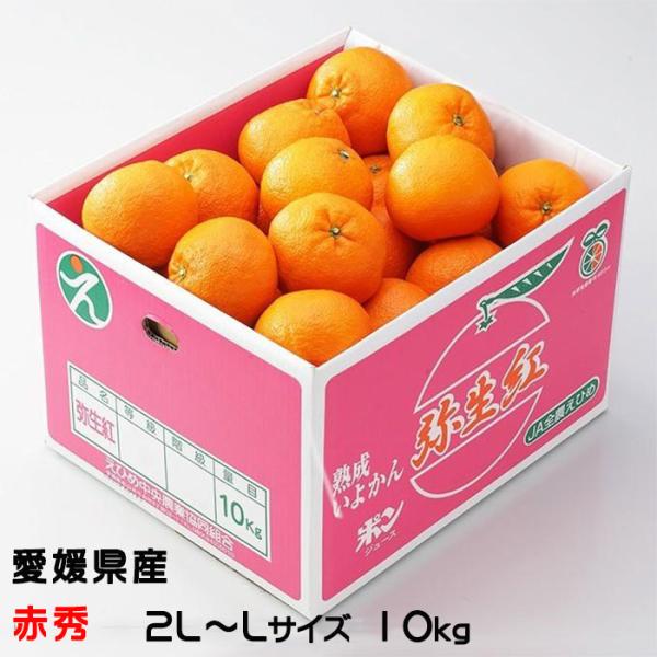 弥生紅は色よし、味よし、香り良しの熟成伊予柑です。愛媛県の特産品、宮内伊予柑を樹上で熟せさ、さらに本貯蔵することで味わいがギュッと凝縮した伊予柑です。まろやかな酸味により濃厚甘さも爽やかな味わいを味わえます。※画像はイメージです。※天候等に...