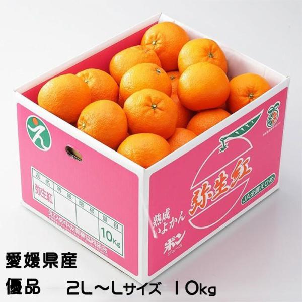 弥生紅は色よし、味よし、香り良しの熟成伊予柑です。愛媛県の特産品、宮内伊予柑を樹上で熟せさ、さらに本貯蔵することで味わいがギュッと凝縮した伊予柑です。まろやかな酸味により濃厚甘さも爽やかな味わいを味わえます。※画像はイメージです。※天候等に...