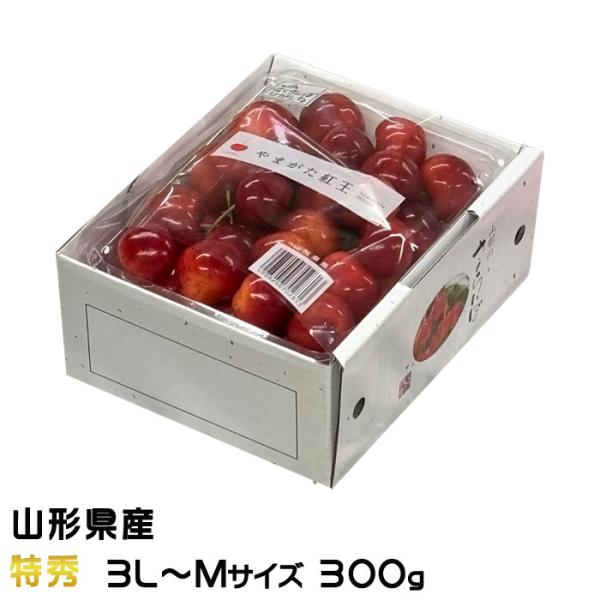 山形の大自然で育まれた、まるでお日様のように大きくてまぶしいさくらんぼ。果物 フルーツ 旬 ギフト 贈り物 お礼 内祝 御供 ギフト プチギフト 特産品 お取り寄せ 人気 セット 売れ筋 名物商品 家庭用 贈答用 甘い