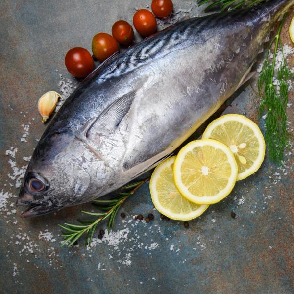 焼津 海の極 国産 マグロ まるごと 一匹 20kg 巨大鮪 マル 冷凍 海鮮丼 刺身 寿司 漬け丼 海伸 本場の海鮮 新鮮 業務用 飲食店 お店 ※冷凍のため解凍、保管に注意※この商品はメバチマグロまるごと一匹の商品です。その他のマグロは...